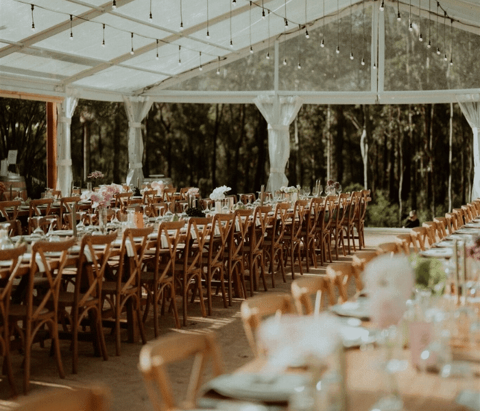 Welcome to Your Dream Wedding Journey - Wedded Week